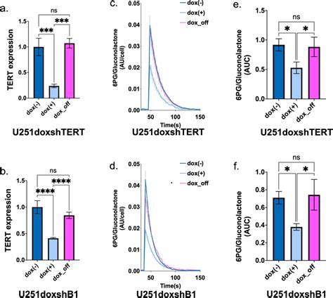 A Tert Expression Comparing Dox − Dox And Dox Off For Download Scientific Diagram