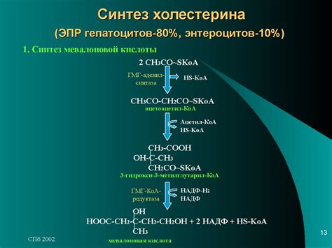 Липиды. Биосинтез - презентация онлайн