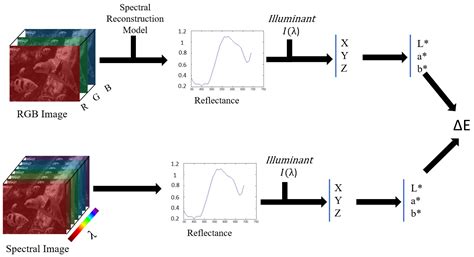 Spectral Reconstruction From Rgb Imagery A Potential Option For Infinite Spectral Data