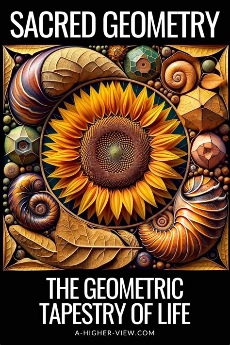 What Is Sacred Geometry Exploring Universal Patterns Symbols Meanings