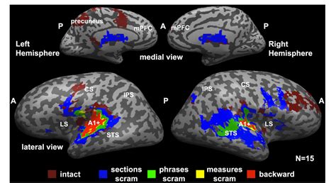 Figure 2 From The Neural Processing Of Hierarchical Structure In Music And Speech At Different