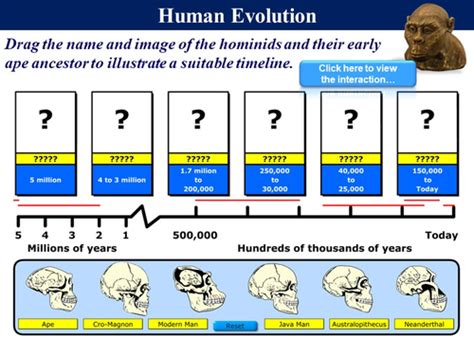 Bio6 13 Speciation And Fossil Record Teaching Resources