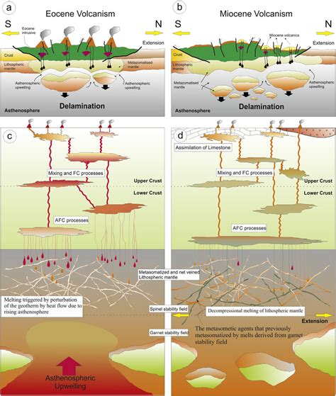 Schematic Cartoons Showing The Favoured Geodynamic Model For The Eocene Download Scientific