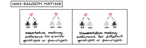 Monohybrid Cross Biology Simple