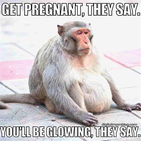 Super Pregnant Memes 15 Hilarious Pregnancy Announcement Memes That
