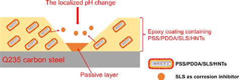Schematic Representation Of Epoxy Coating Containing Psspddaslshnts