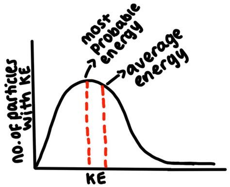 The Boltzmann Distribution Flashcards Quizlet