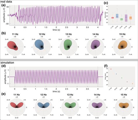 Simulation Phase‐amplitude Coupling Pac Analysis With Neural