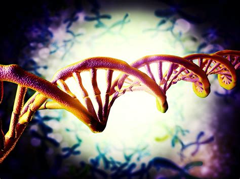 Functional Genomics Australian Genomics