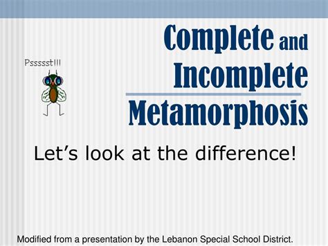 Ppt Complete And Incomplete Metamorphosis Powerpoint Presentation Free Download Id 5415835