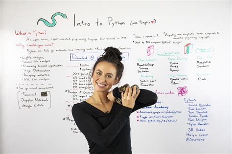 Intro To Python Cognitivemetropolis