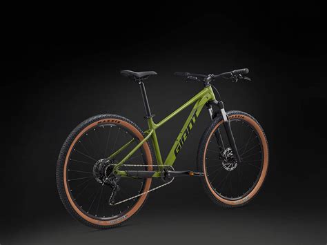 Giant Talon 2 Dried Matcha Mtb The Bicycle Company