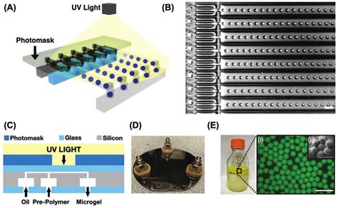 Overview Of The Parallelized Chip For High Throughput On Chip