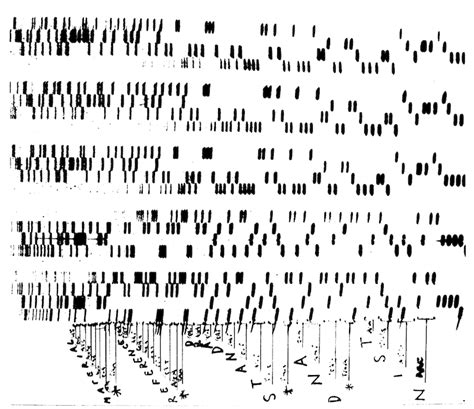 An Autoradiographic Image Of A DNA Sequencing Gel The DNA Sequence Is Download Scientific