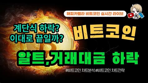 비트코인 실시간 거래대금 하락 중 알트 계단식 하락 이대로 끝118점심💎 비트코인 비트코인실시간 이더리움 리플 Cryptocurrency 차트분석