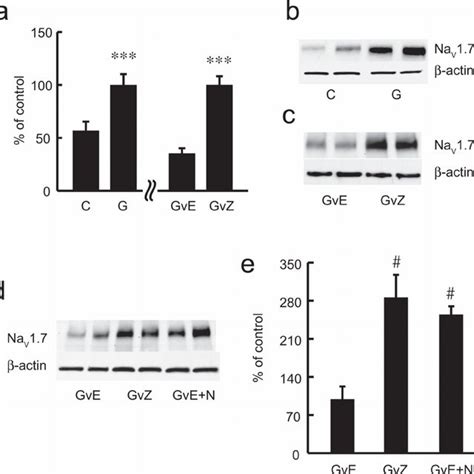 Transgene Mediated Expression Of Enkephalin Prevents The Increase In Na