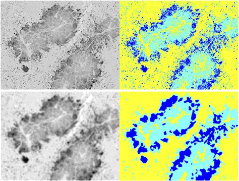 Otsu Segmentation And Smoothing How Otsus Multithreshold Segmentation