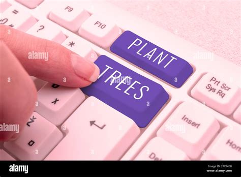 Inspiration Showing Sign Plant Trees Internet Concept Process Of Planting A Tree For Land