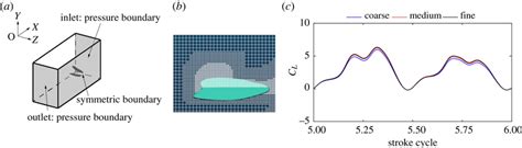 a computational domain and boundary conditions b the distribution
