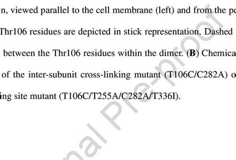 Structural Comparisons Of The Apo Atp Bound And Download Scientific Diagram