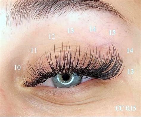 Learn About Cc Curl Lashes In Detail From A Z