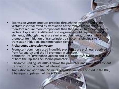 Expression Vectors