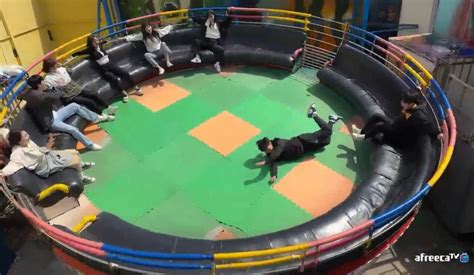 수니그룹 디스코팡팡 ㅋㅋ 숲 Soop 에펨코리아