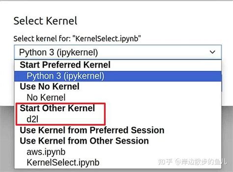 【深度学习】修改jupyter记事本的内核 知乎