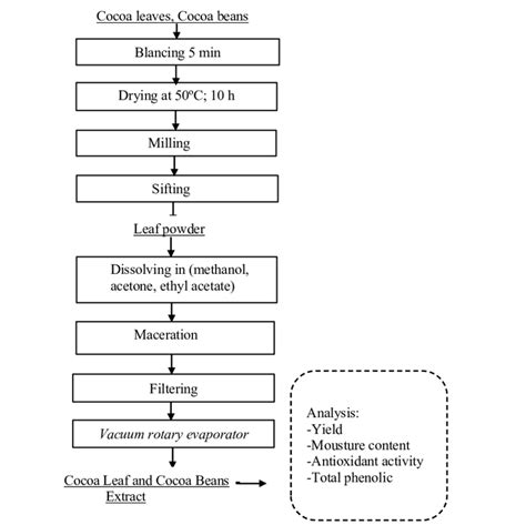 Flowchart Of Identification Of Bioactive Compounds In Cocoa Leaves Download Scientific Diagram