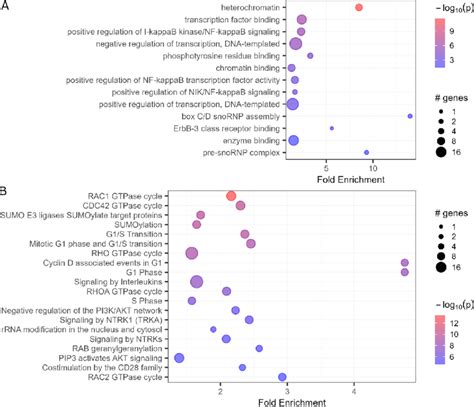 The Enrichment Analysis Of The Shared A Go Terms And B Reactome