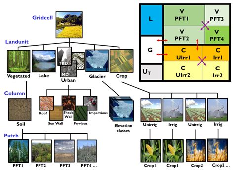 CLM DART 11 6 1 Documentation