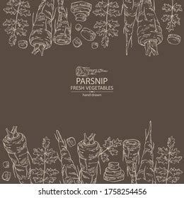 Background Parsnip Vector Hand Drawn Illustration Stock Vector Royalty Free 1758254456