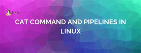 Cat Command And Pipelines In Linux