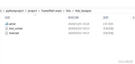 Transunet复现过程（详细过程） Csdn博客
