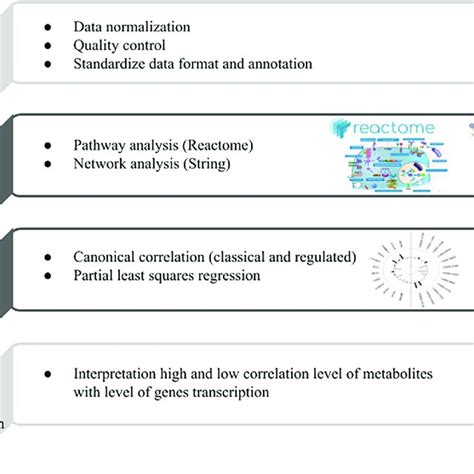 The Workflow Of Lipidomics Metabolomics And Transcriptomics Data