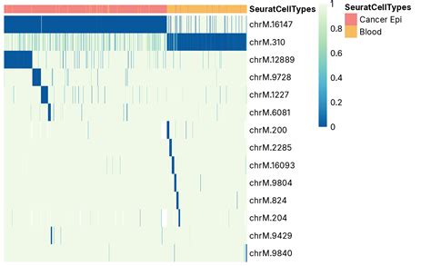Heatmap Plot — Plot Heatmap • Scmitomut