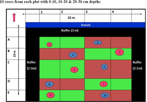 Showing The 10 Replicate Samples Taken From Each Research Plot In The