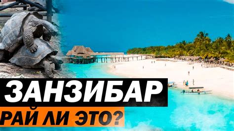 Танзания – смотреть онлайн все 3 видео от Танзания в хорошем качестве ...
