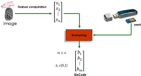 General Principle Of The Biohashing Technique Download Scientific Diagram