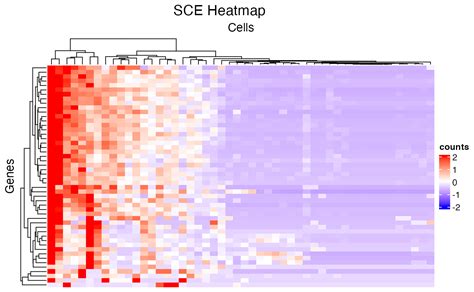 Heatmap Visualization SingleCellTK