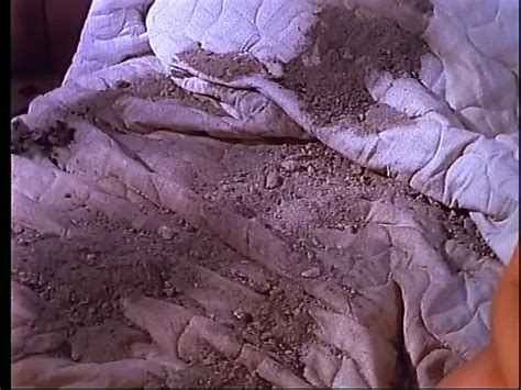 Alex Dane Porn Videos 2025 Porn Star Sex Scenes XHamster