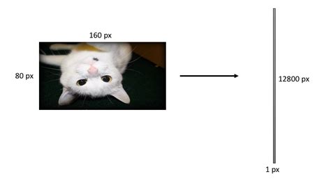 Applications Of Matrix Decompositions For Machine Learning Fritz Ai