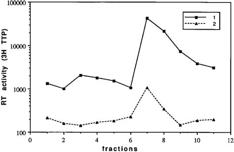 reverse transcriptase activity associated with virus particles