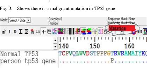 Figure 3 From Effective Data Mining Technique For Classification Cancers Via Mutations In Gene