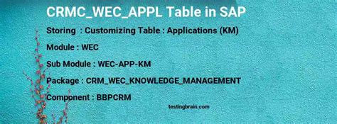 crmc wec appl sap table for customizing table applications km