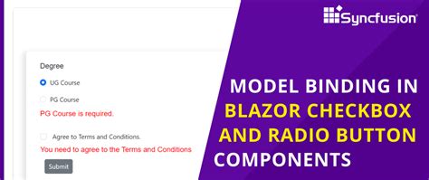 Model Binding In Blazor Checkbox And Radio Button Components Dev