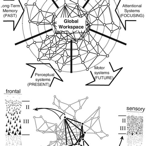 Schema Of The Global Neuronal Workspace Gnw Model The Gnw Model Download Scientific Diagram