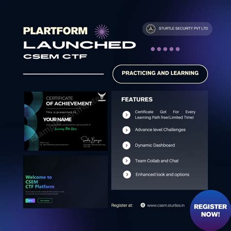 Cybersecurity Ctfchallenge Learncybersecurity Sturtlesecurity Csemctf Cybersec Techskills