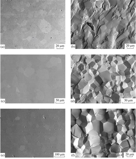 Sem Microstructure Of Mgal 2 O 4 Ceramics Undoped A B And Doped With