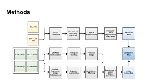 Multimodal Mri Statistical Segmentation Of Normal Appearing White Matter Lesions In Multiple